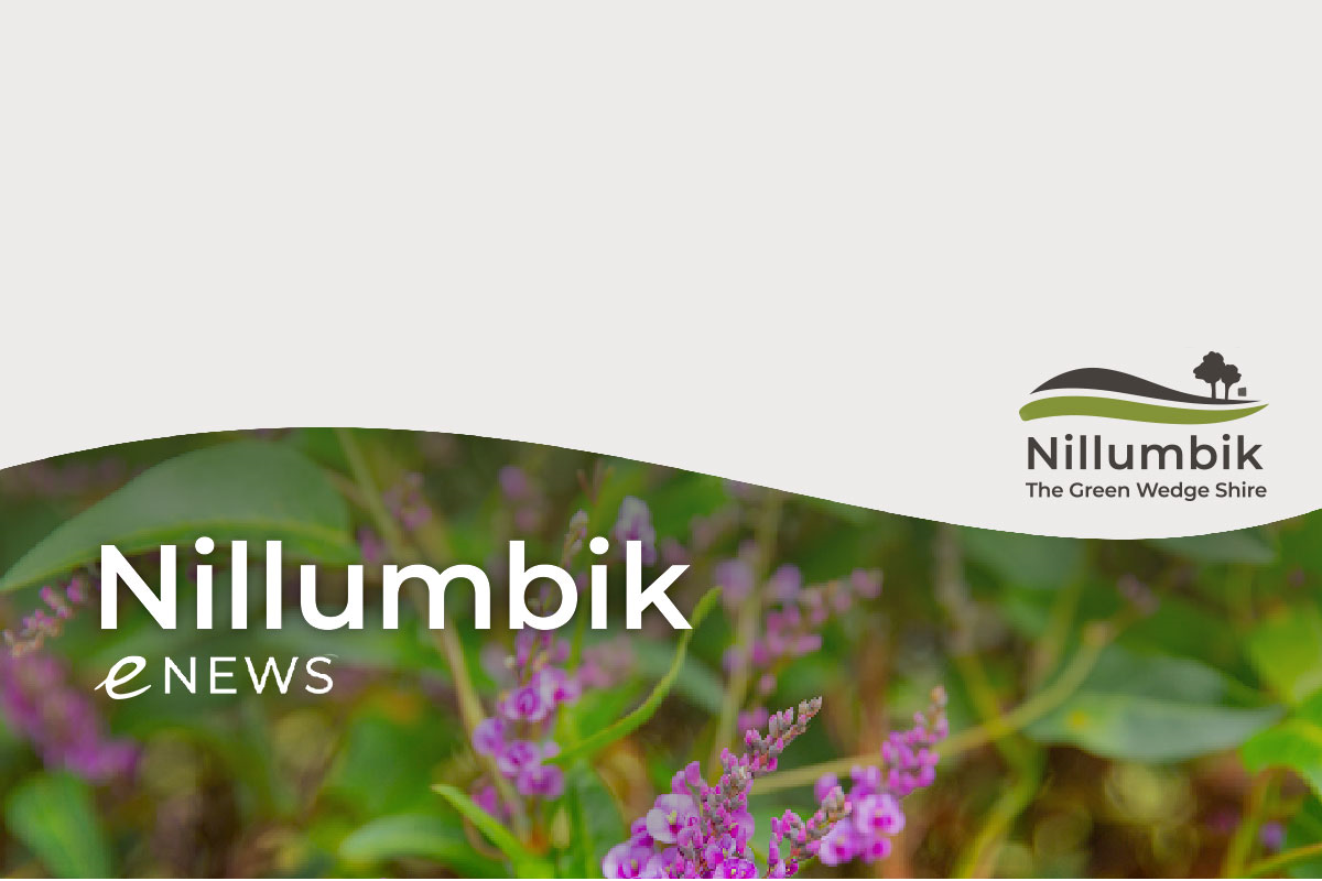 Nillumbik eNews - Nillumbik Shire Council