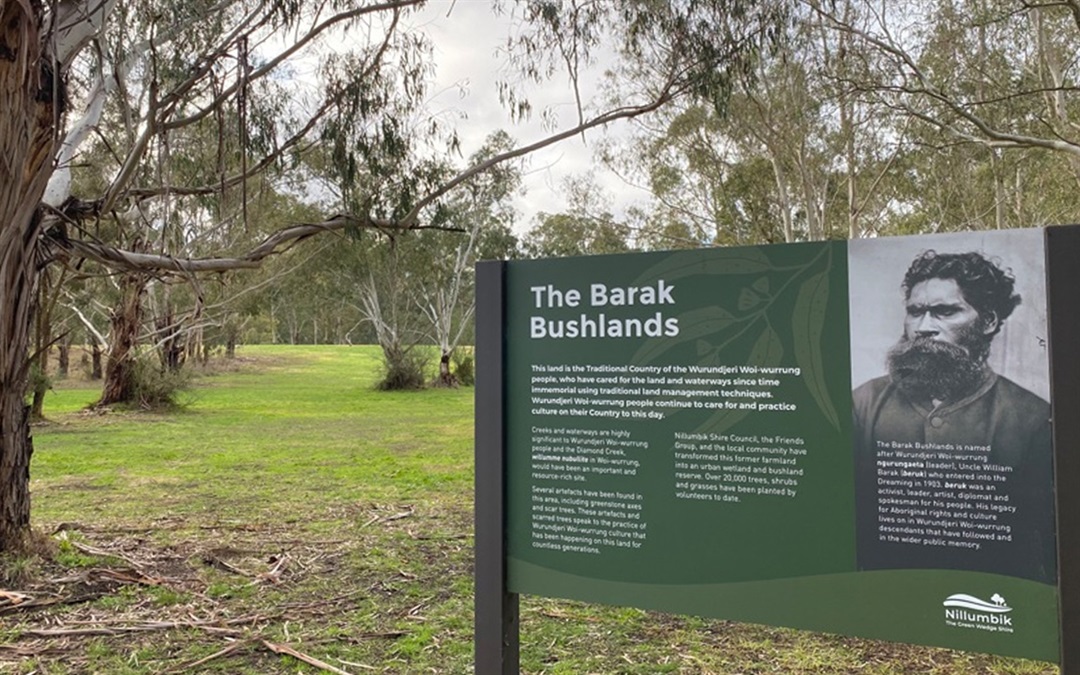 Celebration of William Barak and Barak Bushlands - Nillumbik Shire Council