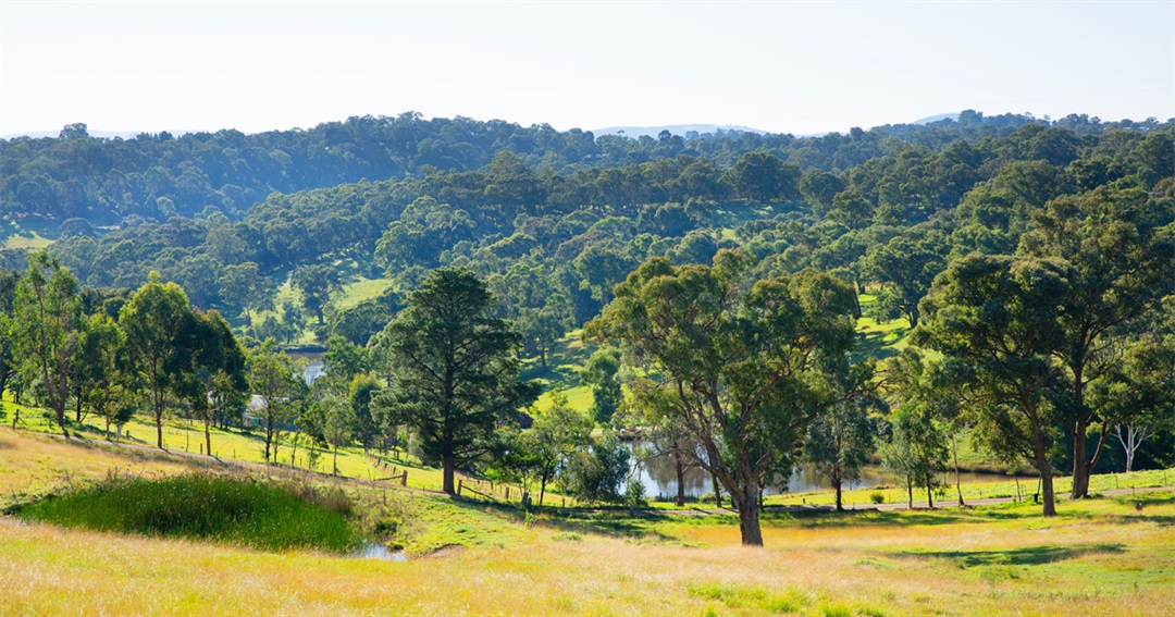 Environmental significance overlay - Nillumbik Shire Council